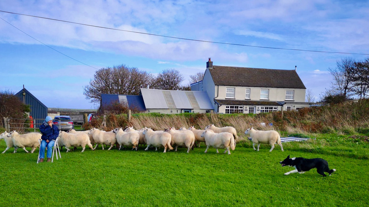 Gallery - Llety Farm